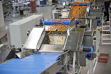 Intelligent feeding, distribution and buffer systems | Hastamat